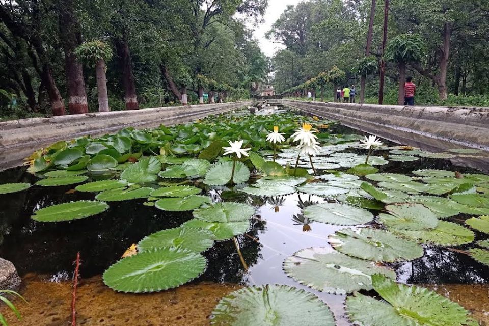 Himayat Baugh Aurangabad (Entry Fee, Timings, History, Built by, Images ...
